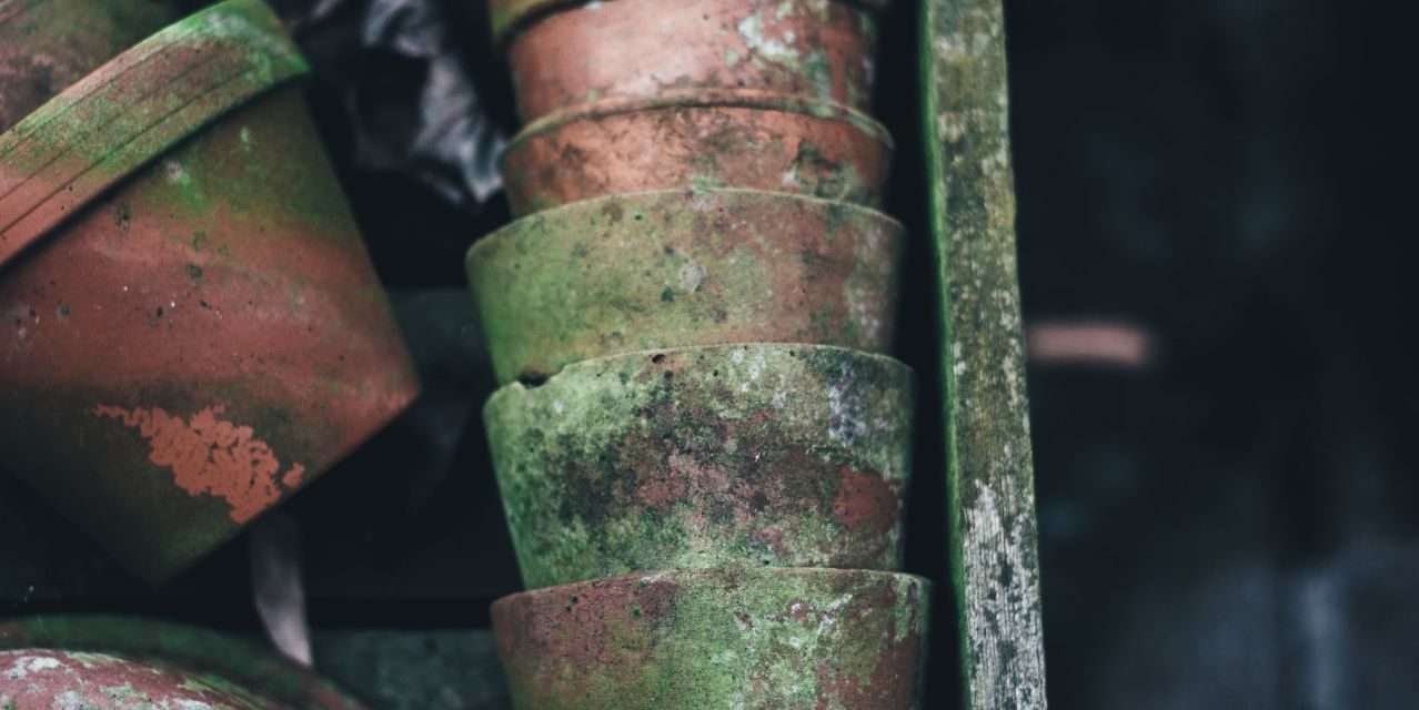 Terra Cotta—Whole, Useful and Beautiful - My Raggedy Herbs